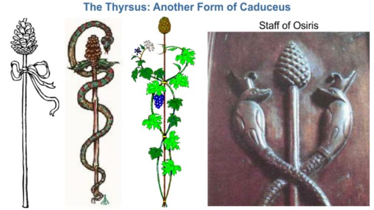 Thoth Fool Tarot Card Tutorial - Esoteric Meanings